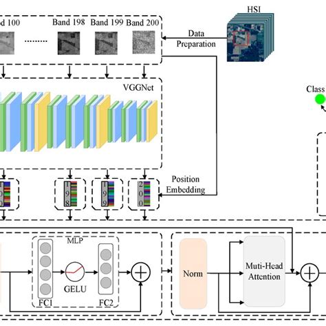 The Framework Of Sst For Hsi Classification Download Scientific Diagram