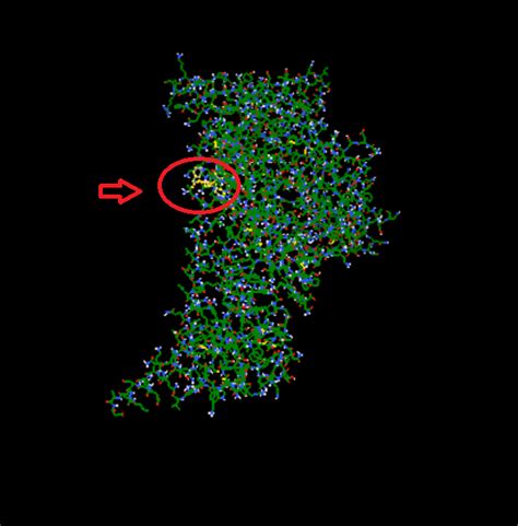 What Should I Do If I Got High Reference Rmsd Values In My Docking