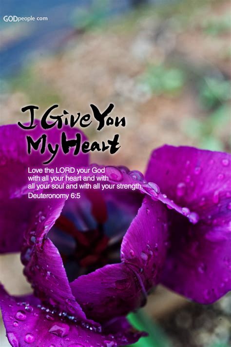 배경화면 갓피플