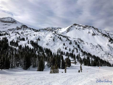 Why Alta Ski Resort Is The Best Ski Resort In Utah