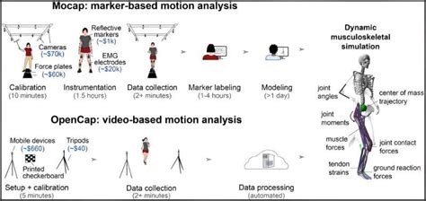 New Smartphone App Quickly Analyzes Human Motion To Aid Physical Rehabilitation