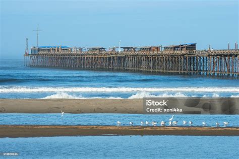 Famoso Muelle En Pimentel Perú América Del Sur Foto De Stock Y Más