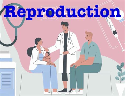 Integrated Reproductive System Solutions For Optimal Health Mindmap