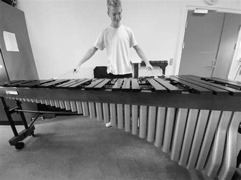 Aske D Instrumentundervisningdk