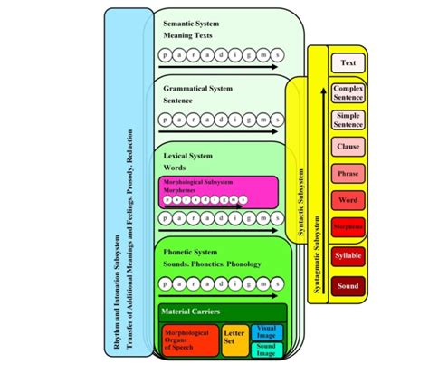 Hierarchical Structure Of The Language Download Scientific Diagram