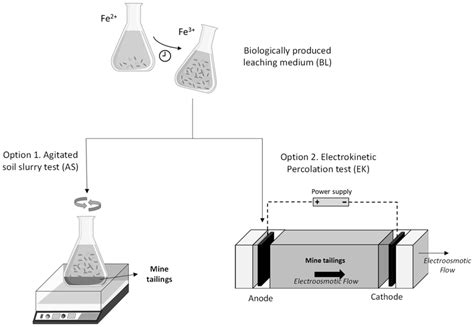 Schematic Experimental Setup And Procedure Download Scientific Diagram