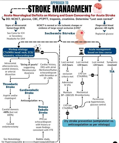 The Heart 🔴appproach To Stroke Management🫀⤵️ 🔹a Clinical Guideline