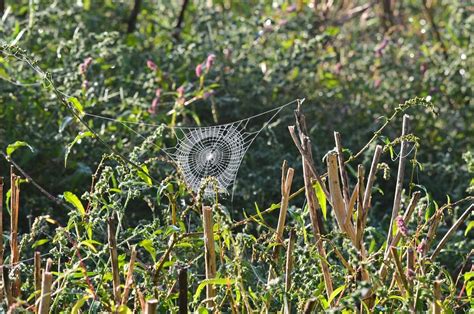 Navigating The Cloud Integrating Apis In Your Android Web Apps Deepak Wadhwa