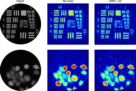 Simulations Of Coil Imaging With A High Core Count Photonic Download Scientific Diagram