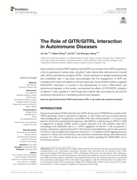 pdf the role of gitr gitrl interaction in autoimmune diseases
