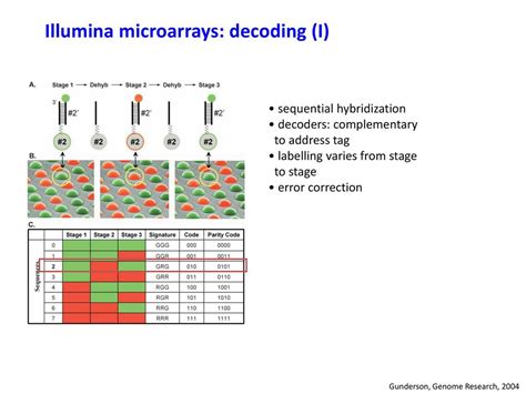 Dna Microarray Analysis February 14 Ppt Download