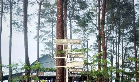 √puncak Lawang Wisata Alam Paling Indah Di Kabupaten Agam