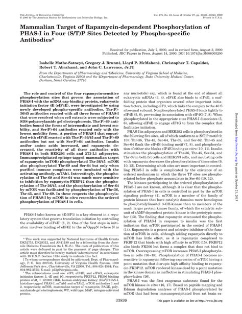 Pdf Mammalian Target Of Rapamycin Dependent Phosphorylation Of Phas I