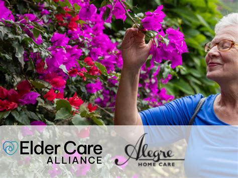 Morse Fall Risk Scale For Aging Adults Elder Care Alliance