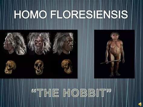 Homo Floresiensis Presentation Pptx