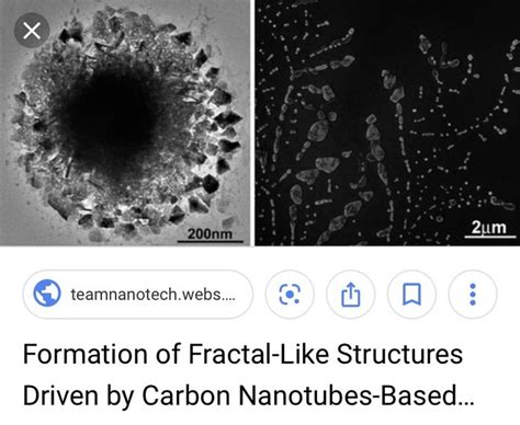Formation Of Fractal Like Structures Driven By Carbon Nanotubes