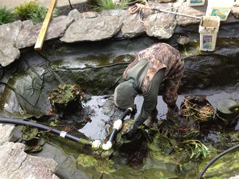 10 Pond And Waterfall Cleaning Mistakes Baltimore Maryland Ponds And