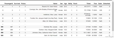 datawhale 动手学数据分析 第一章：数据载入及初步观察 泰坦尼克的任务 什么是逐块读取为什么要逐块读取呢 csdn博客