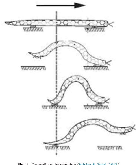 Figure 1 From Robust Adaptive Control Of A Bio Inspired Robot
