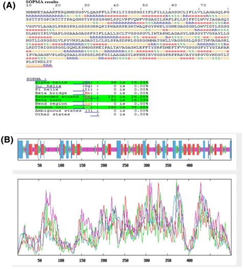 A The Predicted Secondary Structure Of The Hhp Using Sopma Software H Download Scientific