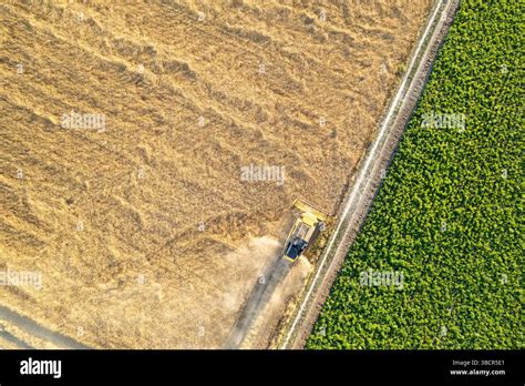 Agriculture And Farming Top Down Of Field Divisions Agricultural