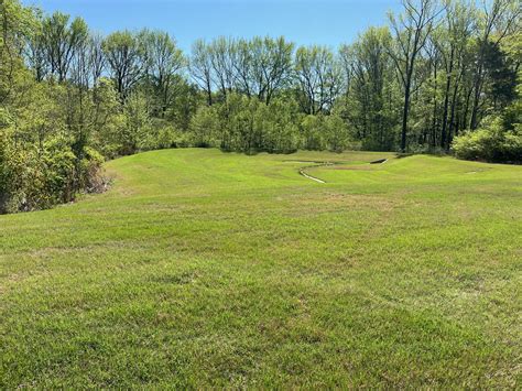 Cp Gmsd — Chris Herring Architect