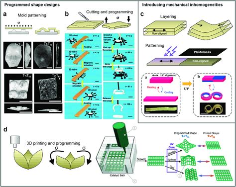 Shape Programming Techniques Based On Mechanical Stress Programming Download Scientific