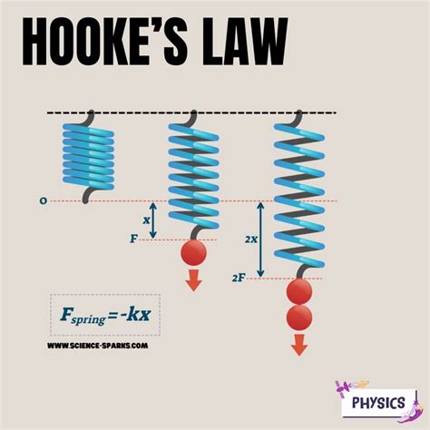 hooke s law 11th physics at marvin wolbert blog