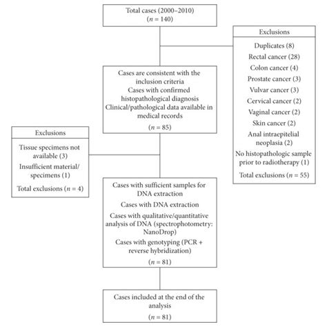 Flowchart Of Case Sample Selection Download Scientific Diagram
