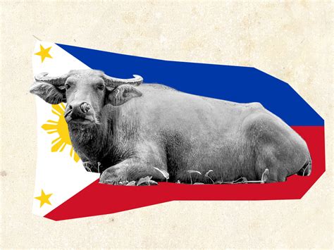 The Philippines Carabao Southeast Asia Globe