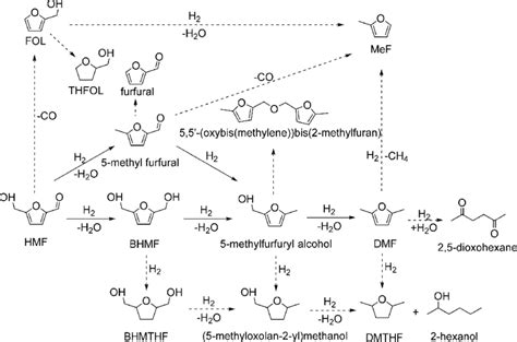 Reaction Network For The Transformation Of Hmf To Dmf And Possible Download Scientific Diagram