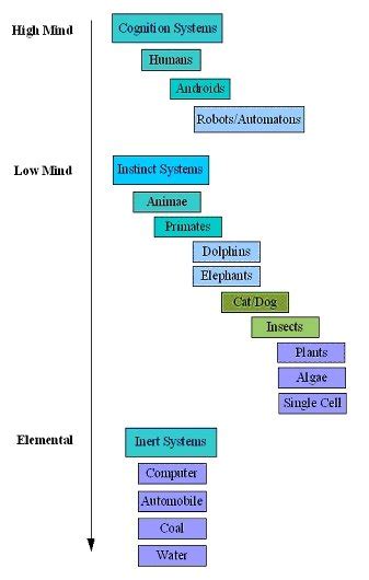 A Cognition Hierarchy Download Scientific Diagram