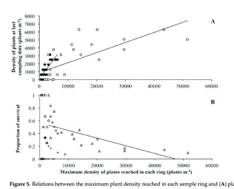 Relations Between The Maximum Plant Density Reached In Each Sample Ring Download Scientific