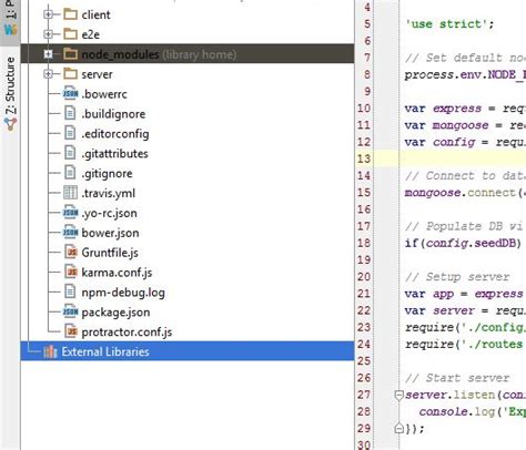 Settings Why Is The Node Modules Folder Blacked Out In Webstorm