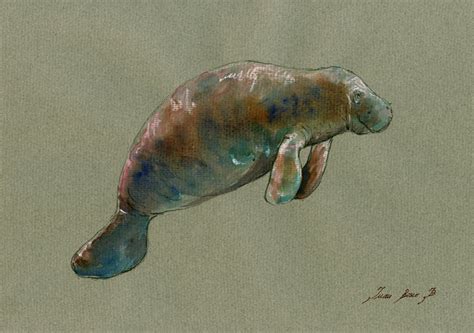 Print Manatee Sea Cow Mermaid Print Artwork Marine Mammal Art Print