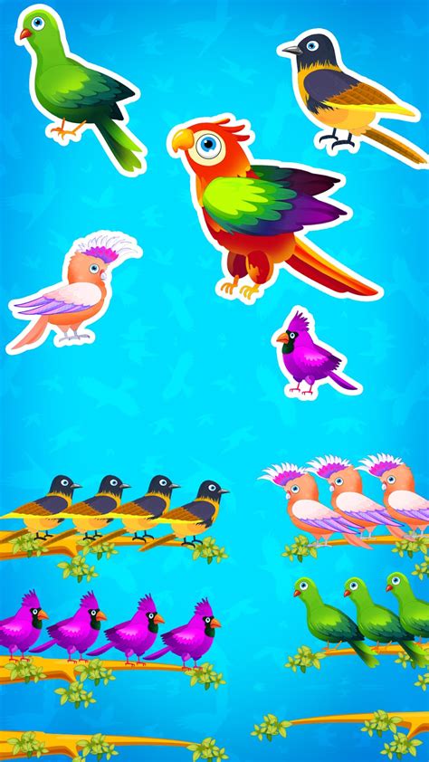 Color Bird Sort Puzzle Games For Android Download