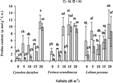 Interaction Effect Of Salinity And Si Different Levels On Proline Download Scientific Diagram