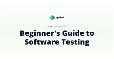 beginner s guide to software testing spabel