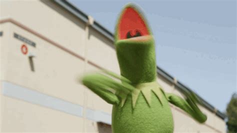 Kermit The Frog Excited  Wiffle