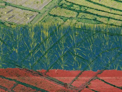 Press Release New Report Finds Irreproducible Science Is Affecting Fda Regulations By National