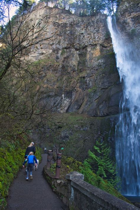 Multnomah Wahkeena Falls Loop Hike Image