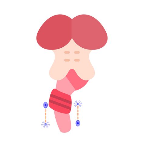 102 The Brain Stem Brain And Neuroplasticity Seminars