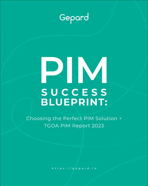Pim Success Blueprint Navigating To Your Ideal Pim Solution Gepard Pim