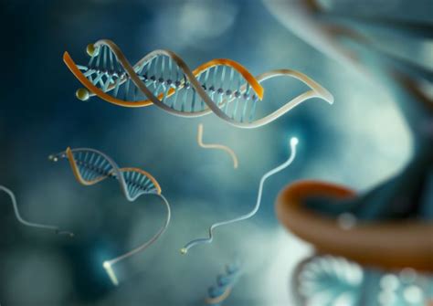 Dna Programmed To Detect And Bind To Cancerous Mutations Advances