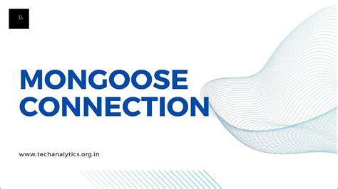 Mongodb Connection Database Connection Mongoose Connection