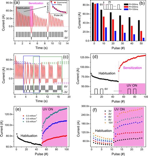 The Implementation Of Habituation And Sensitization Of The Zno Nanowire Download Scientific