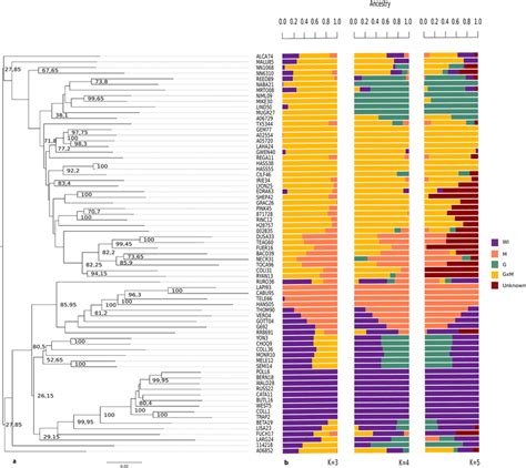 A Dendrogram Based On Neighbour Joining Nj Plotted Using Figtree 78 Download Scientific
