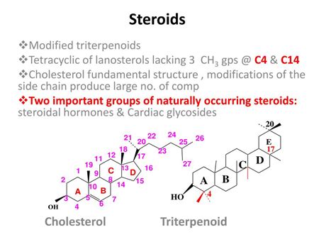 Ppt Steroids Powerpoint Presentation Free Download Id 6544980