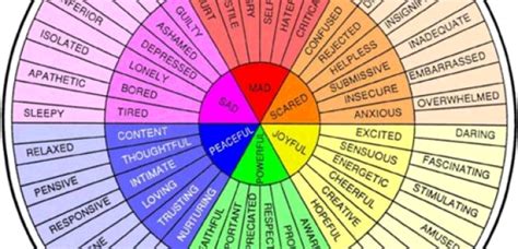 Cognitive Psychology What Is The Most Comprehensive System Of