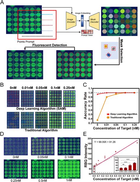 Deep Learning‐enhanced Microwell Array Biochip For Rapid And Precise